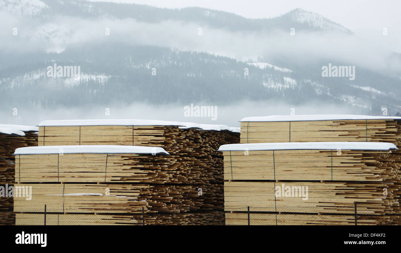 Stacked Lumber Covered in Snow in Lumber Yard with Foggy Mountains in ...