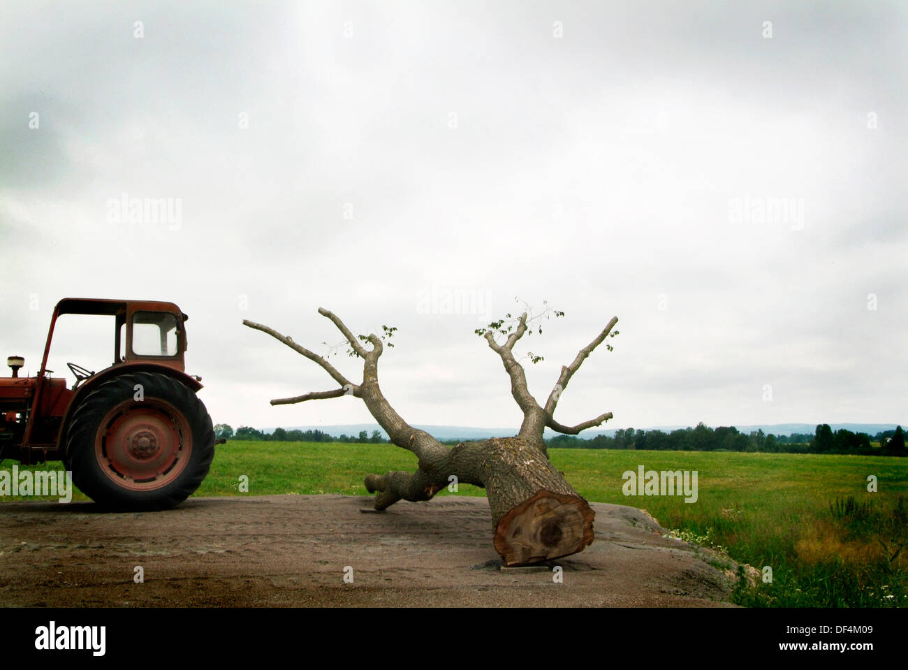 Fallen Tree and Tractor Stock Photo - Alamy
