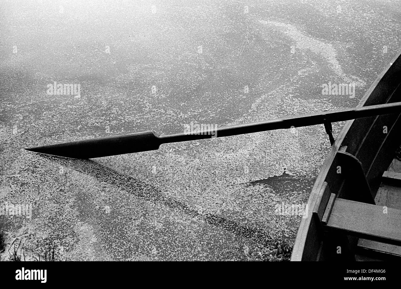 Algae in boat Black and White Stock Photos & Images - Alamy