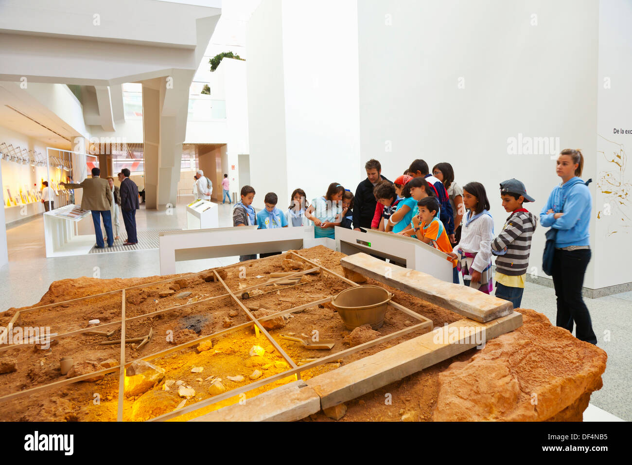 Museum human evolution hi-res stock photography and images - Alamy