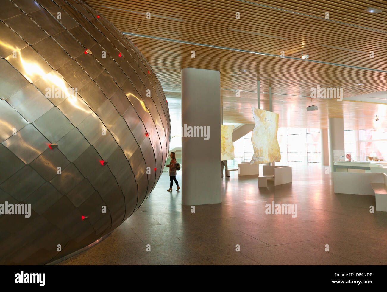 Museum human evolution hi-res stock photography and images - Alamy