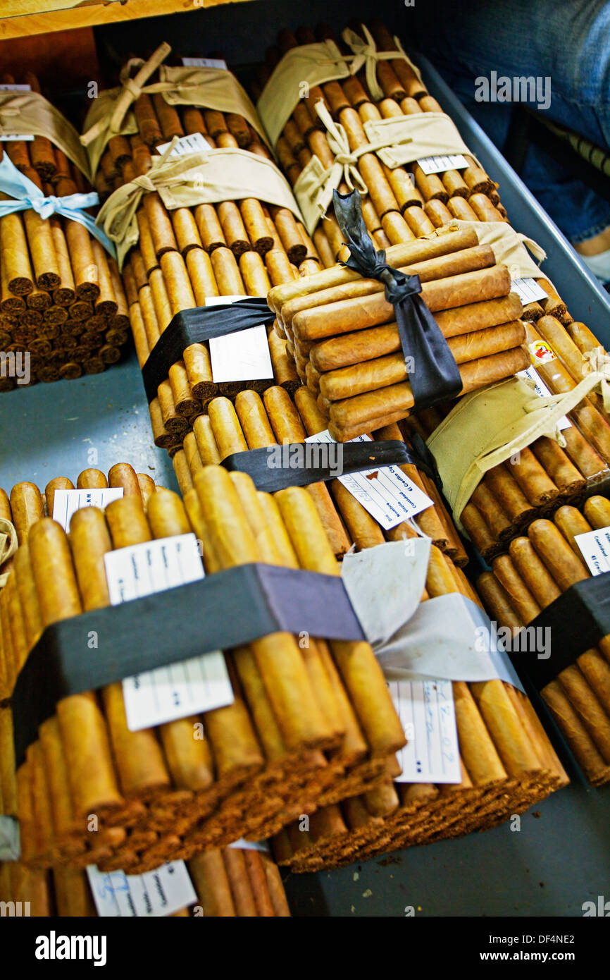 Havana cigars hi-res stock photography and images - Alamy