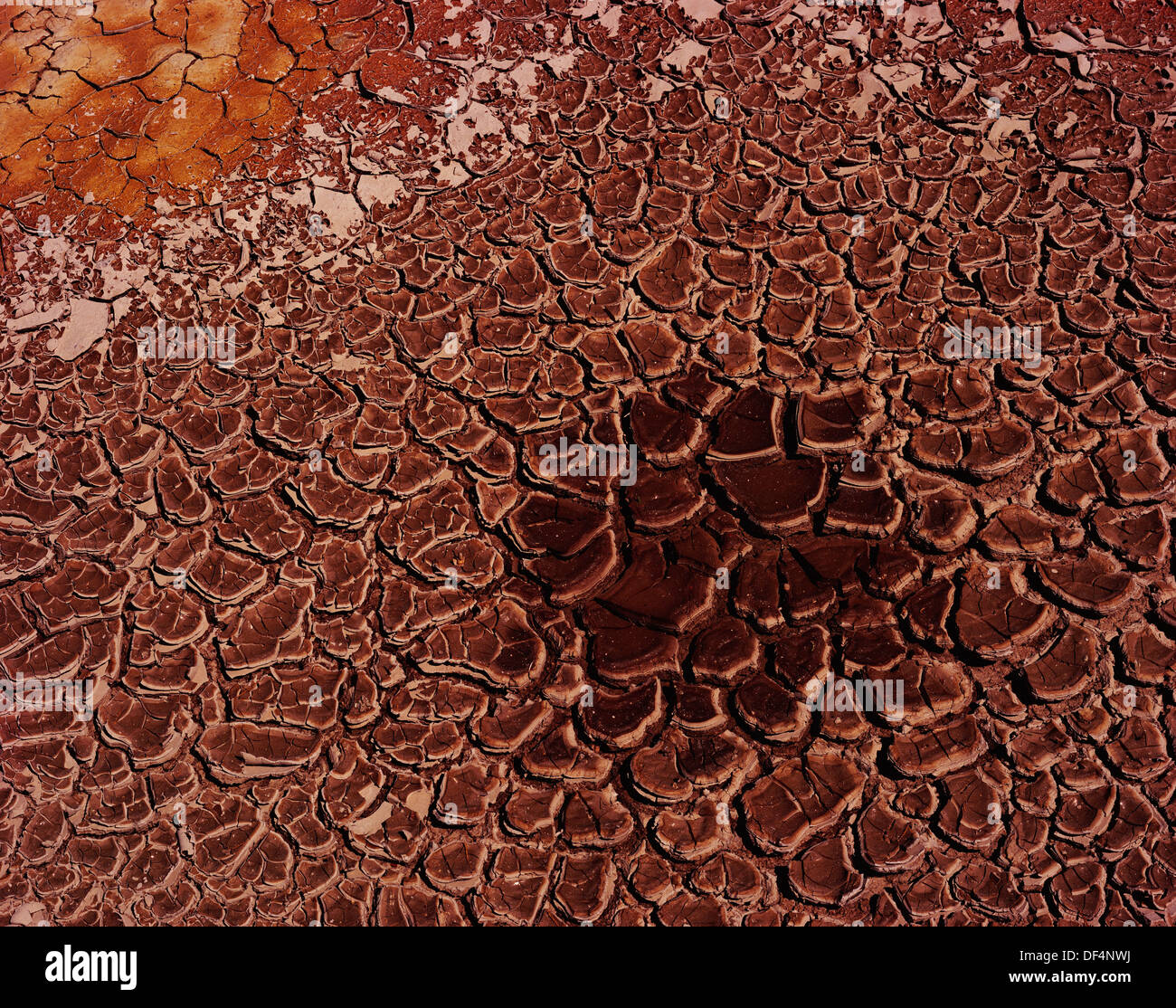 Arizona willcox playa hi-res stock photography and images - Alamy