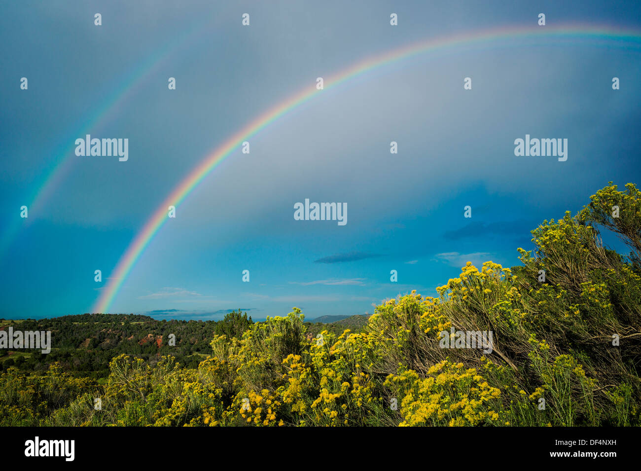 Rays rainbow prism hi-res stock photography and images - Alamy