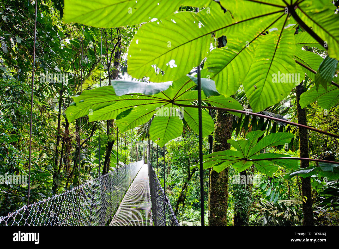 Volcano bridge hi-res stock photography and images - Alamy