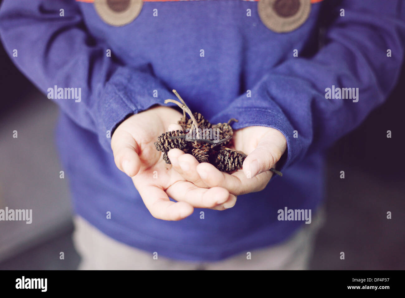 Boy pines hi-res stock photography and images - Alamy