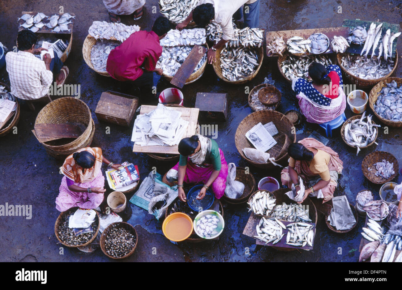 Fish market panaji goa india hi-res stock photography and images - Alamy