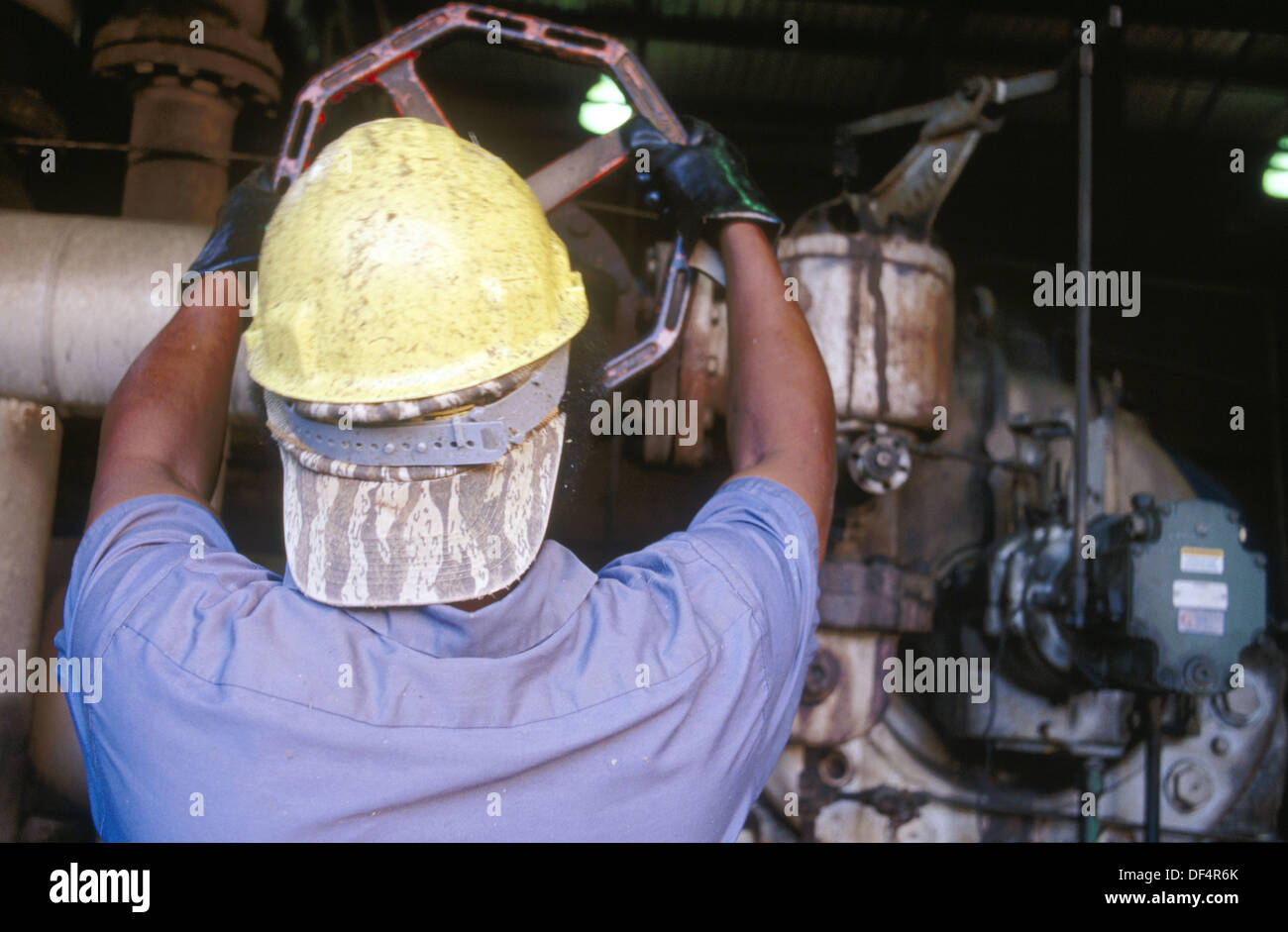 Sugar factory worker hi-res stock photography and images - Alamy