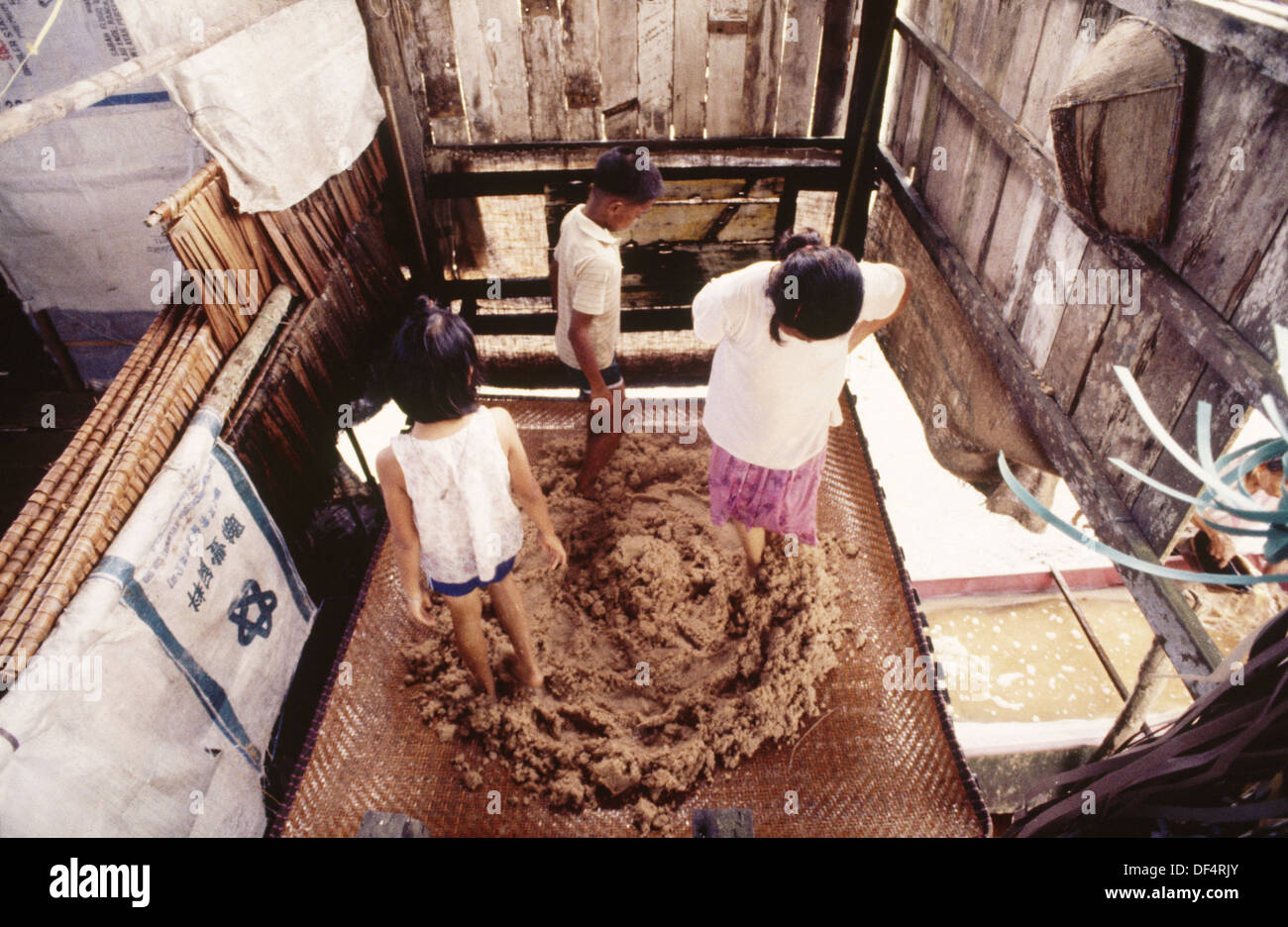 Sago processing hi-res stock photography and images - Alamy