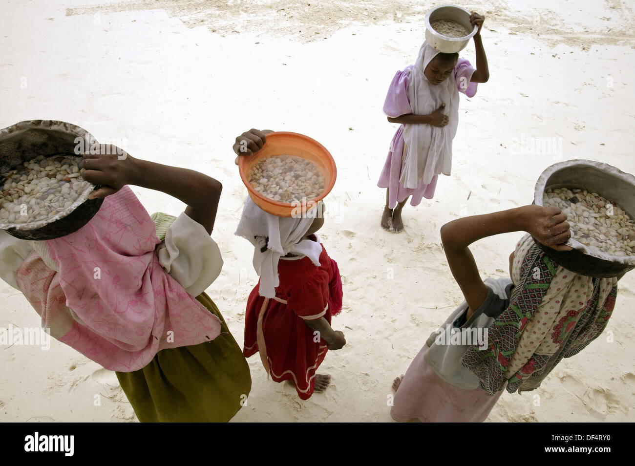 Conch stand hi-res stock photography and images - Alamy