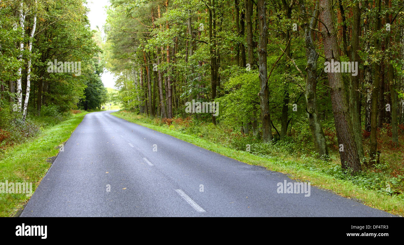 Landscape in Poland asphalt road into forest, early autumn Stock Photo ...