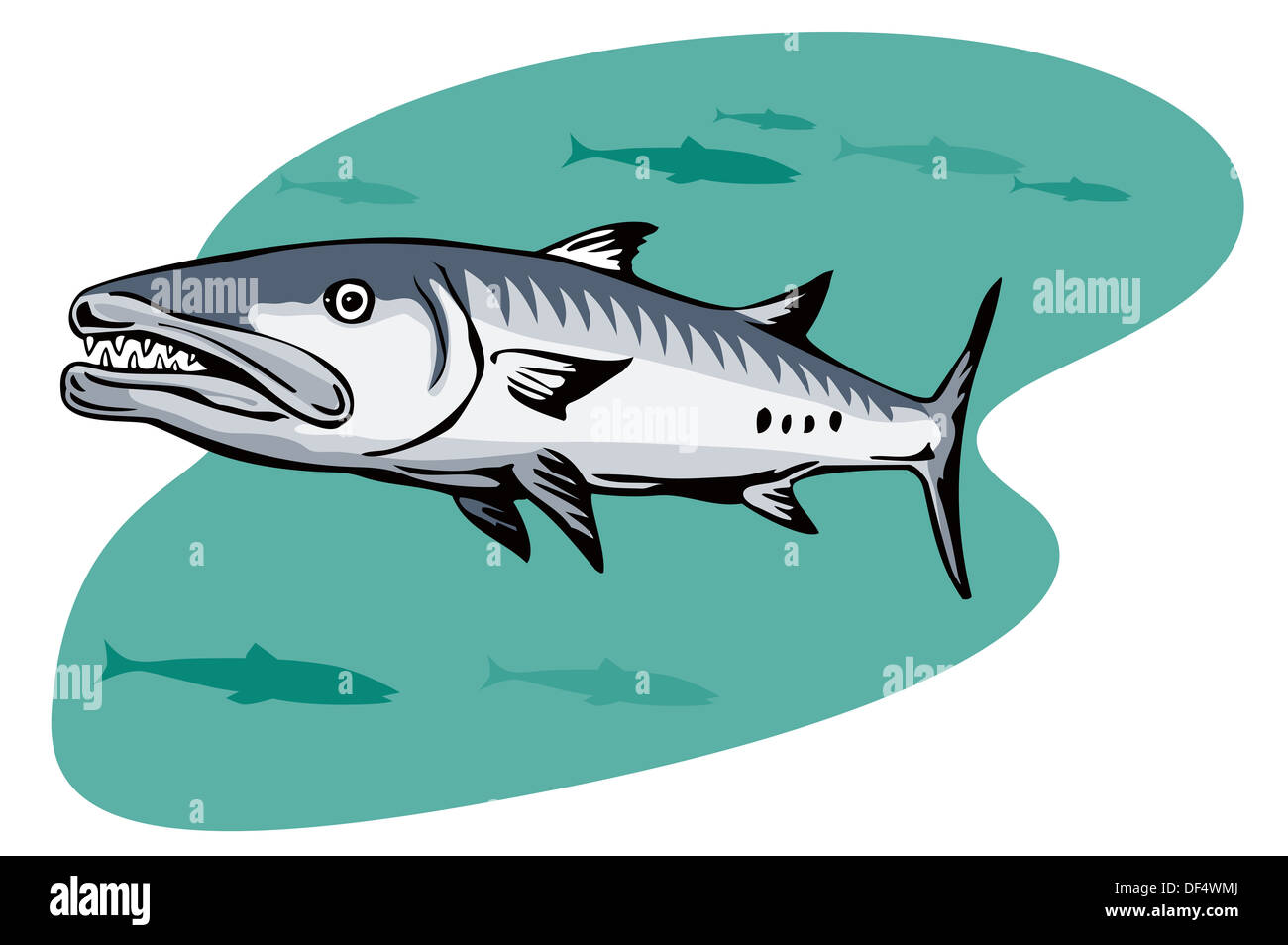 Barracuda Fish Cartoon