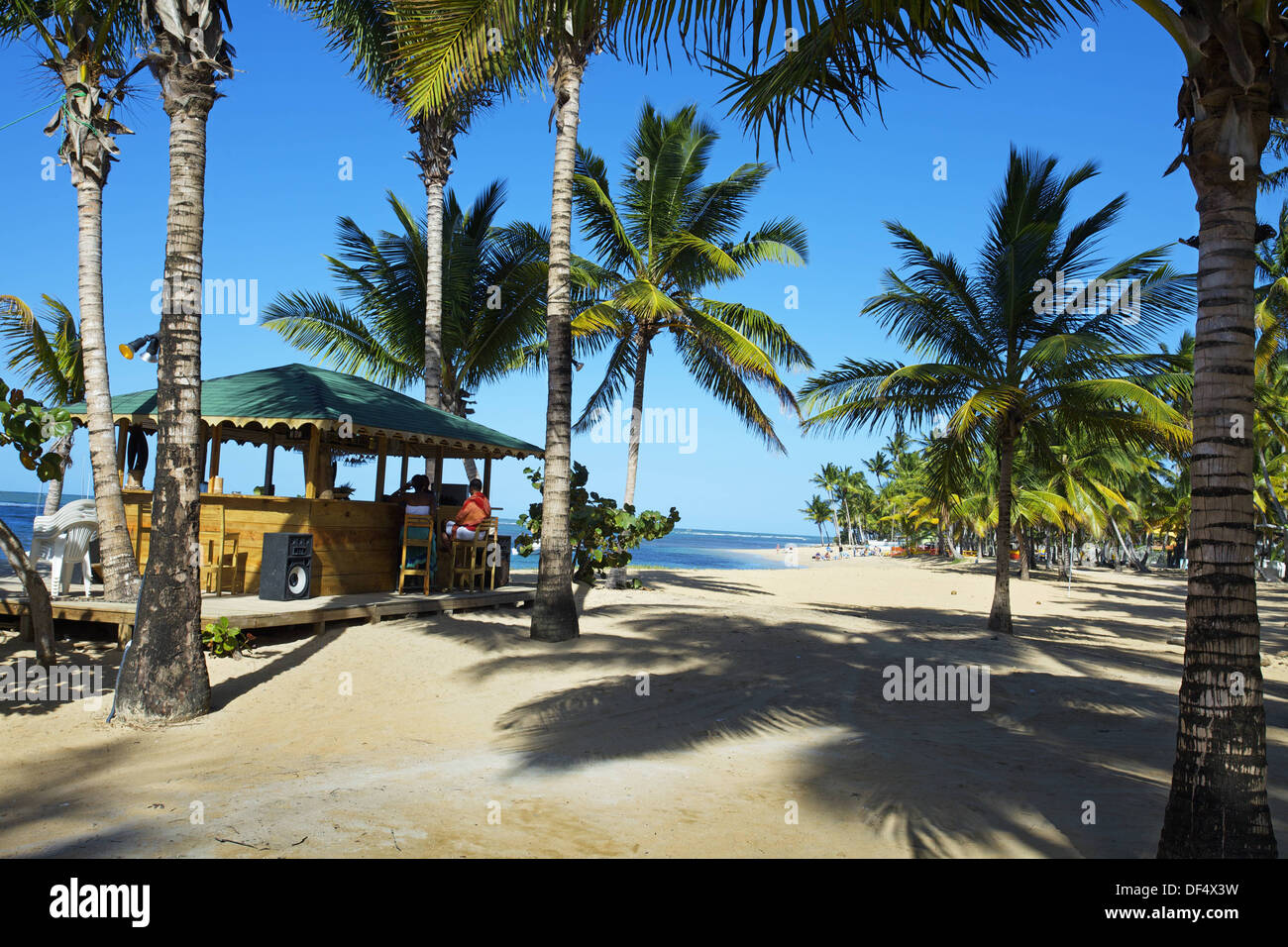 Beach bar las terrenas hi-res stock photography and images - Alamy