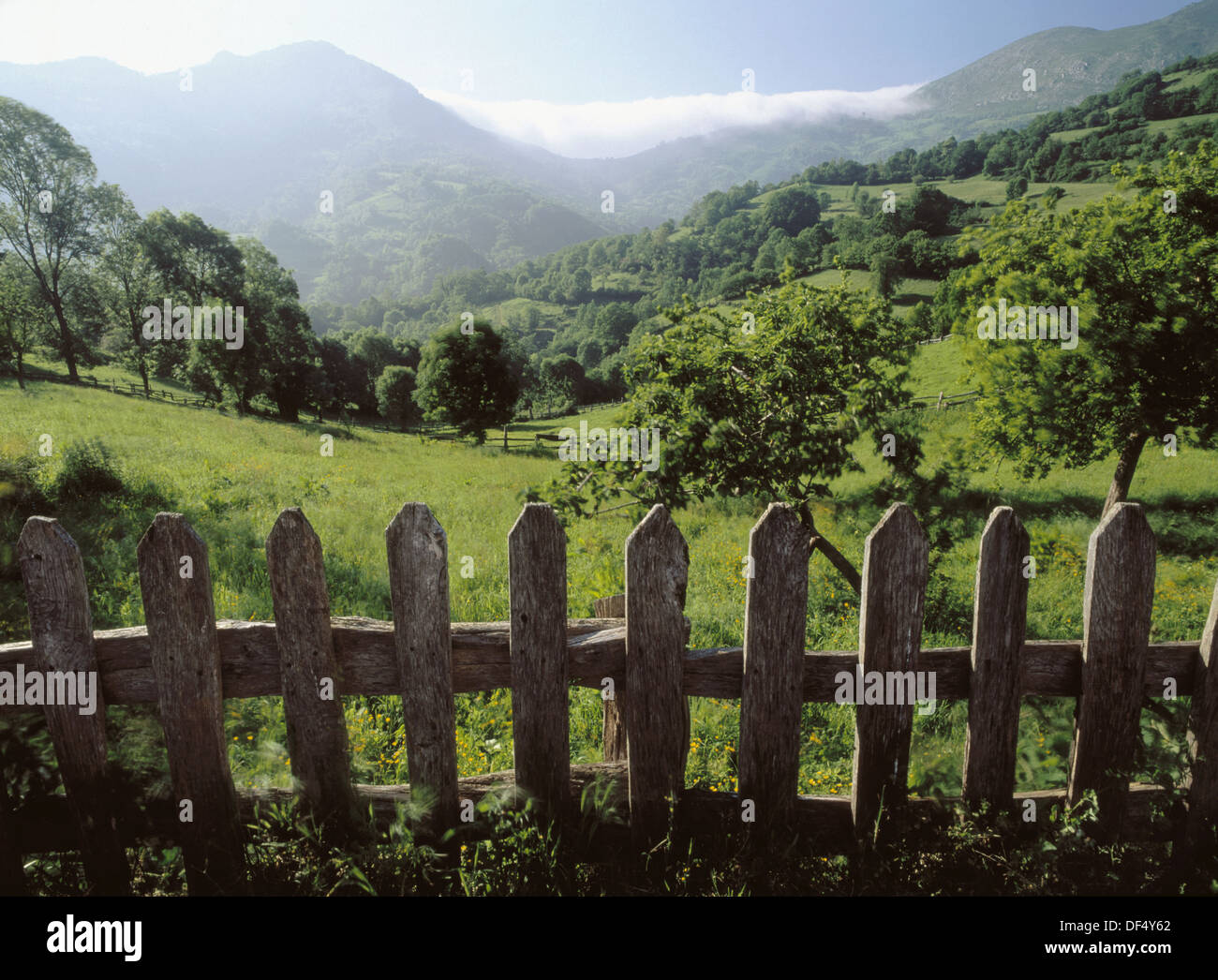 Redes national park hi-res stock photography and images - Alamy