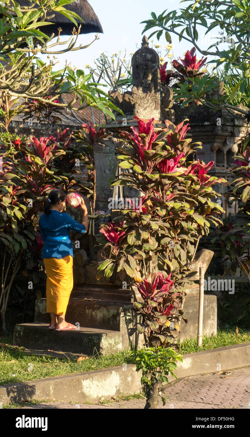 Woman offering prayer gods Bali spirits religion religious food incents ...