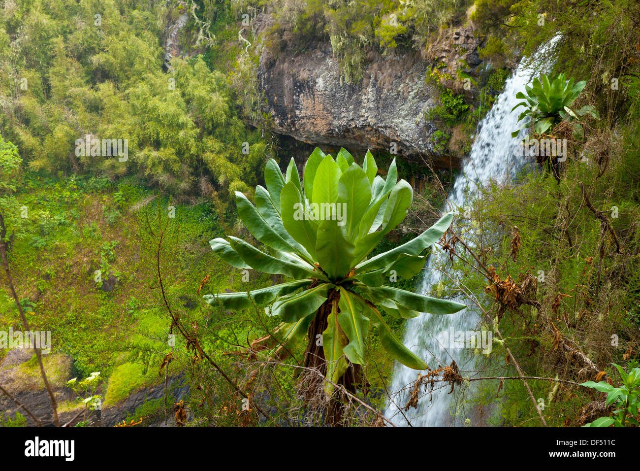 Chania falls hi-res stock photography and images - Alamy
