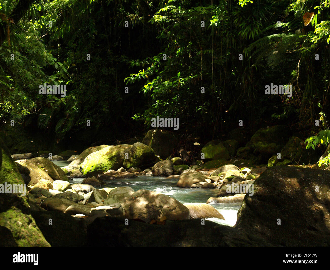 Island dominica hi-res stock photography and images - Alamy