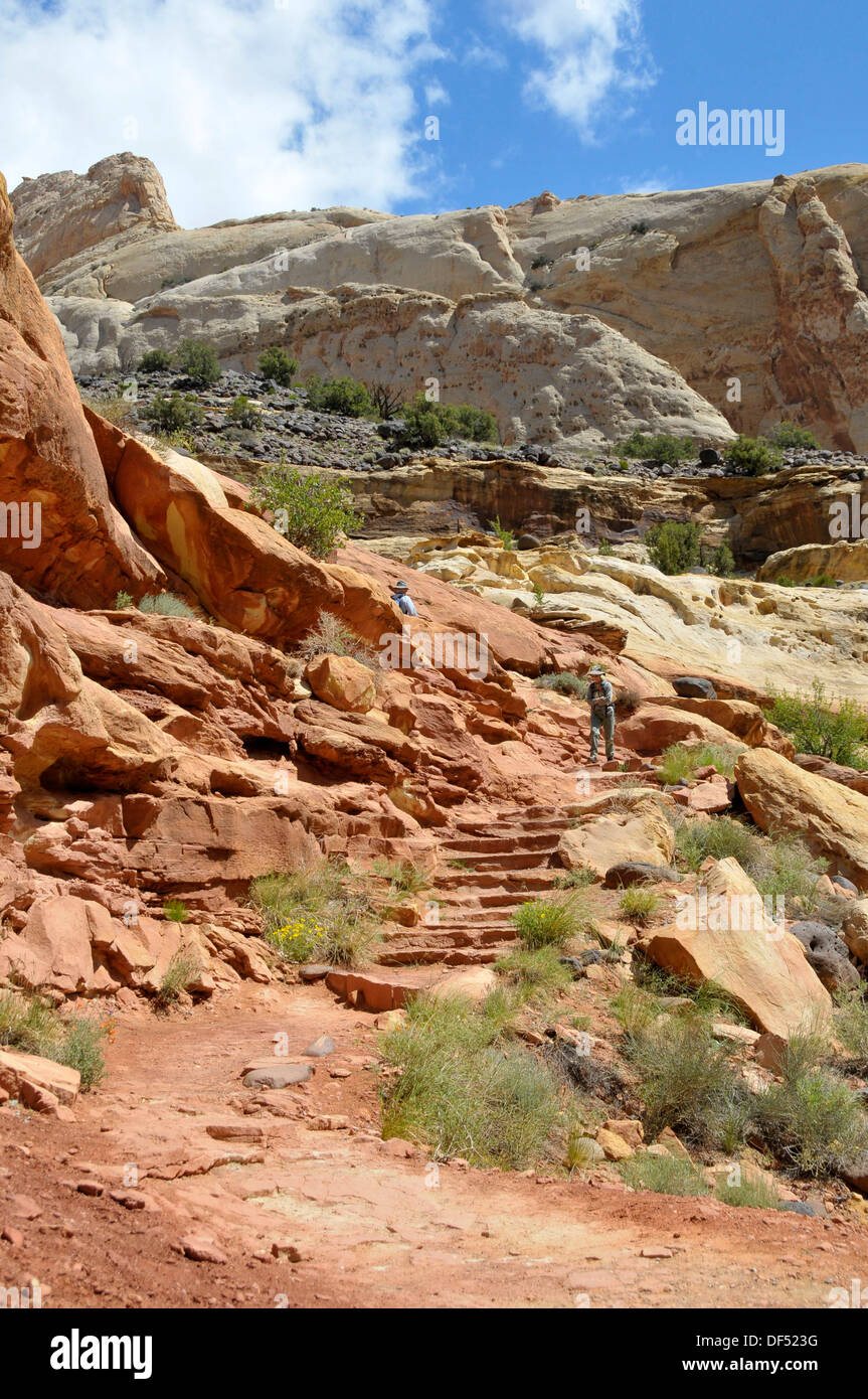 Capitol dome icon hi-res stock photography and images - Alamy