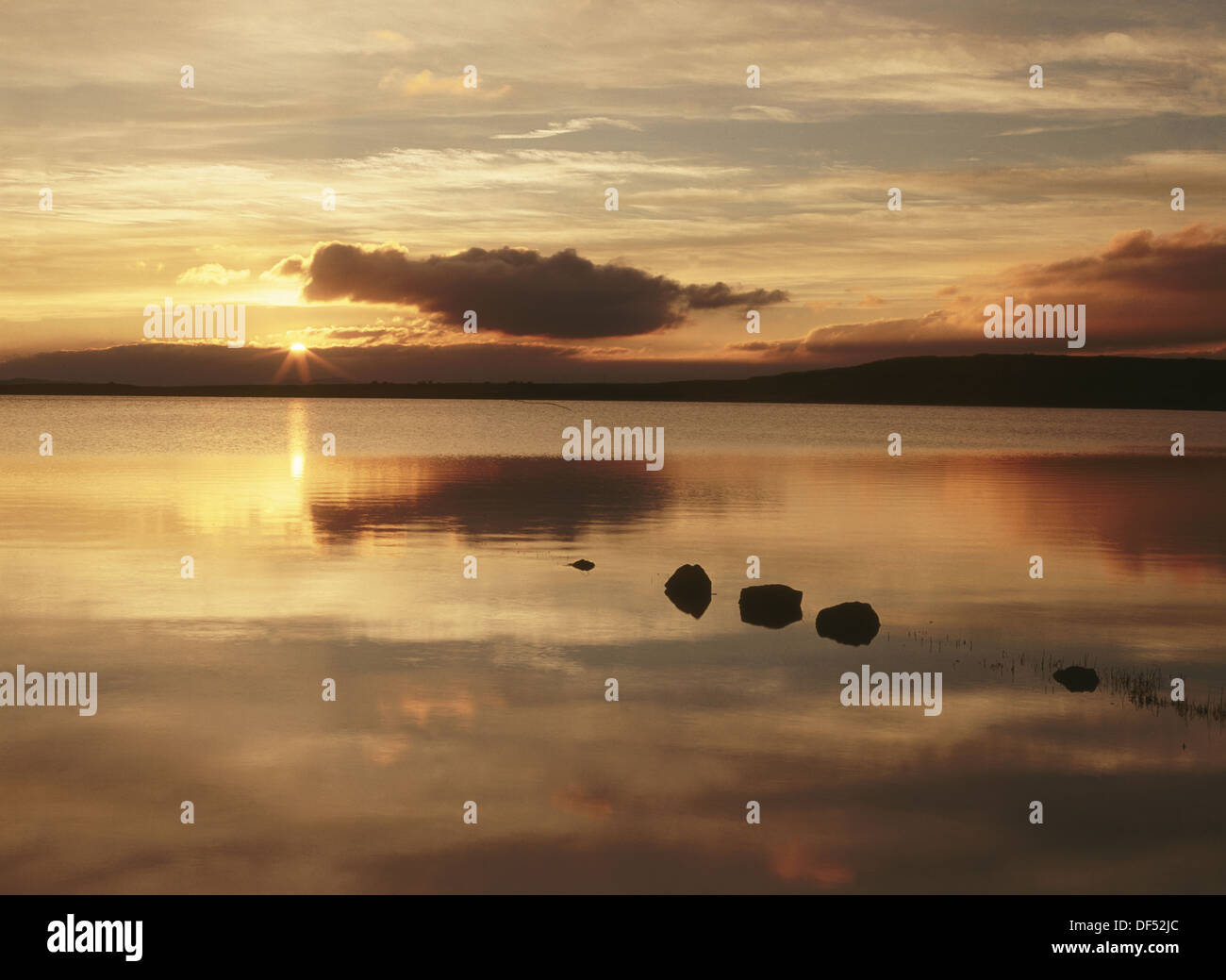 La zaida hi-res stock photography and images - Alamy