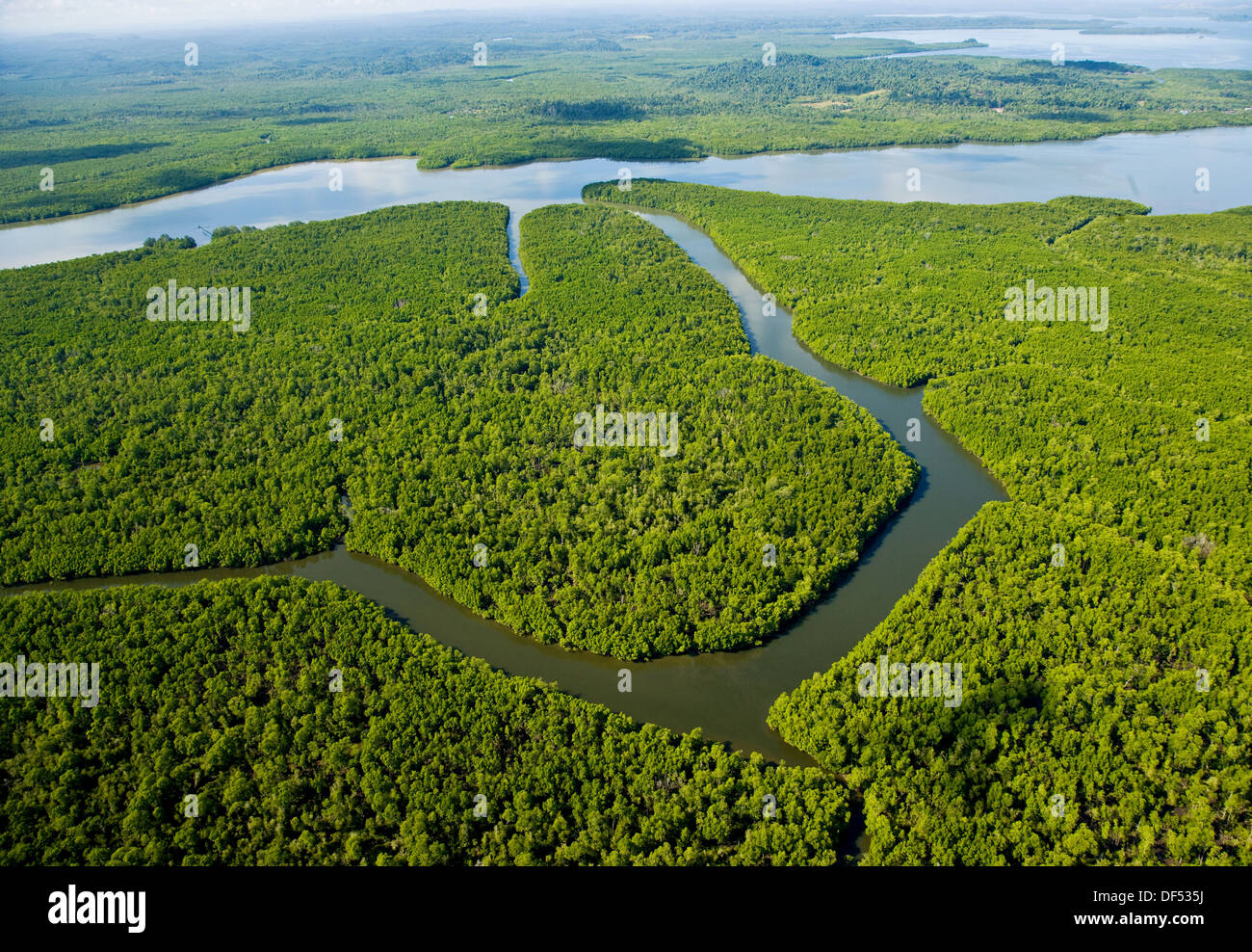 Kinabatangan river aerial hi-res stock photography and images - Alamy
