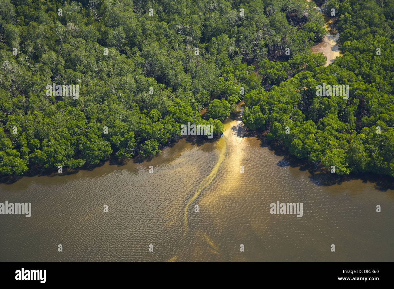 Rainforest and Kinabatangan River, Sabah, Borneo island, Malaysia Stock ...