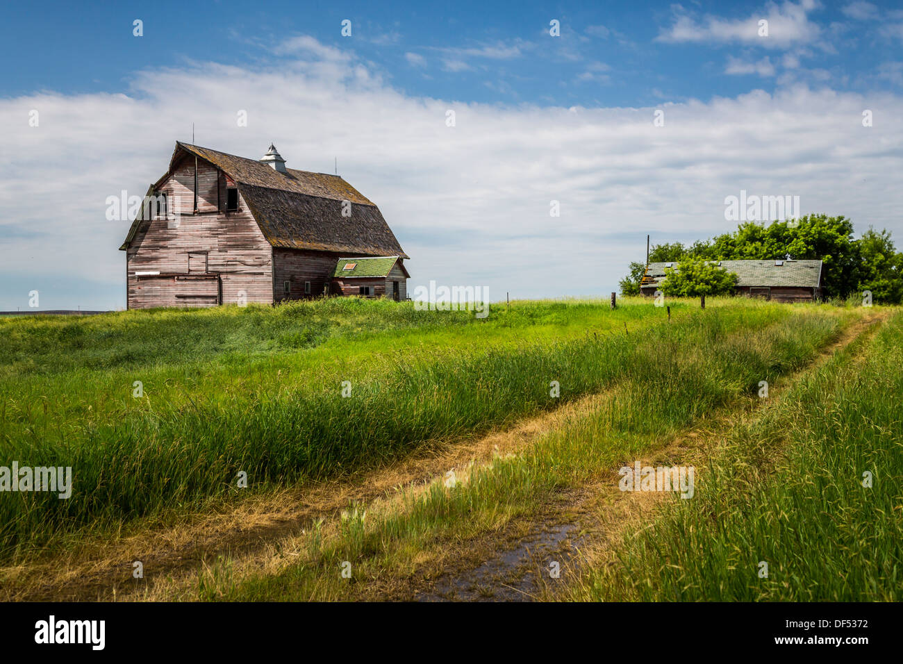 An old barn on a prairie field near Langdon, North Dakota, USA Stock ...