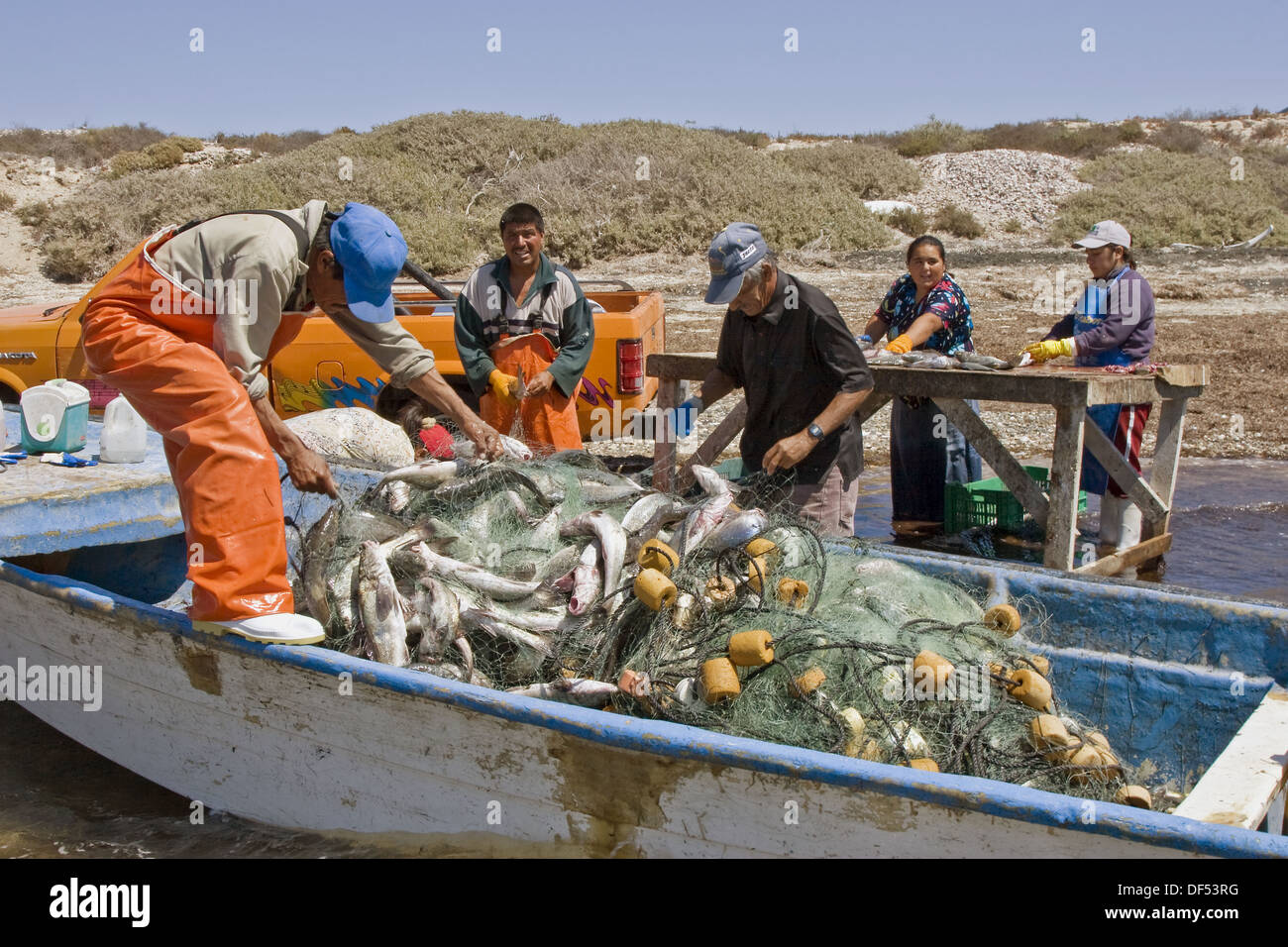Mexican panga hi-res stock photography and images - Alamy