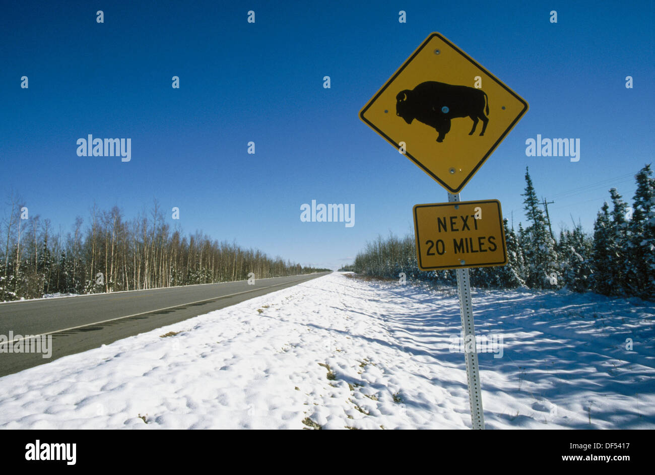 Bison warning sign High Resolution Stock Photography and Images - Alamy