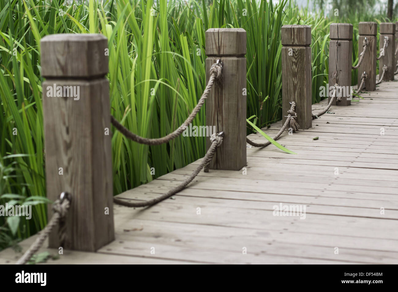 wooden path with railing Stock Photo - Alamy