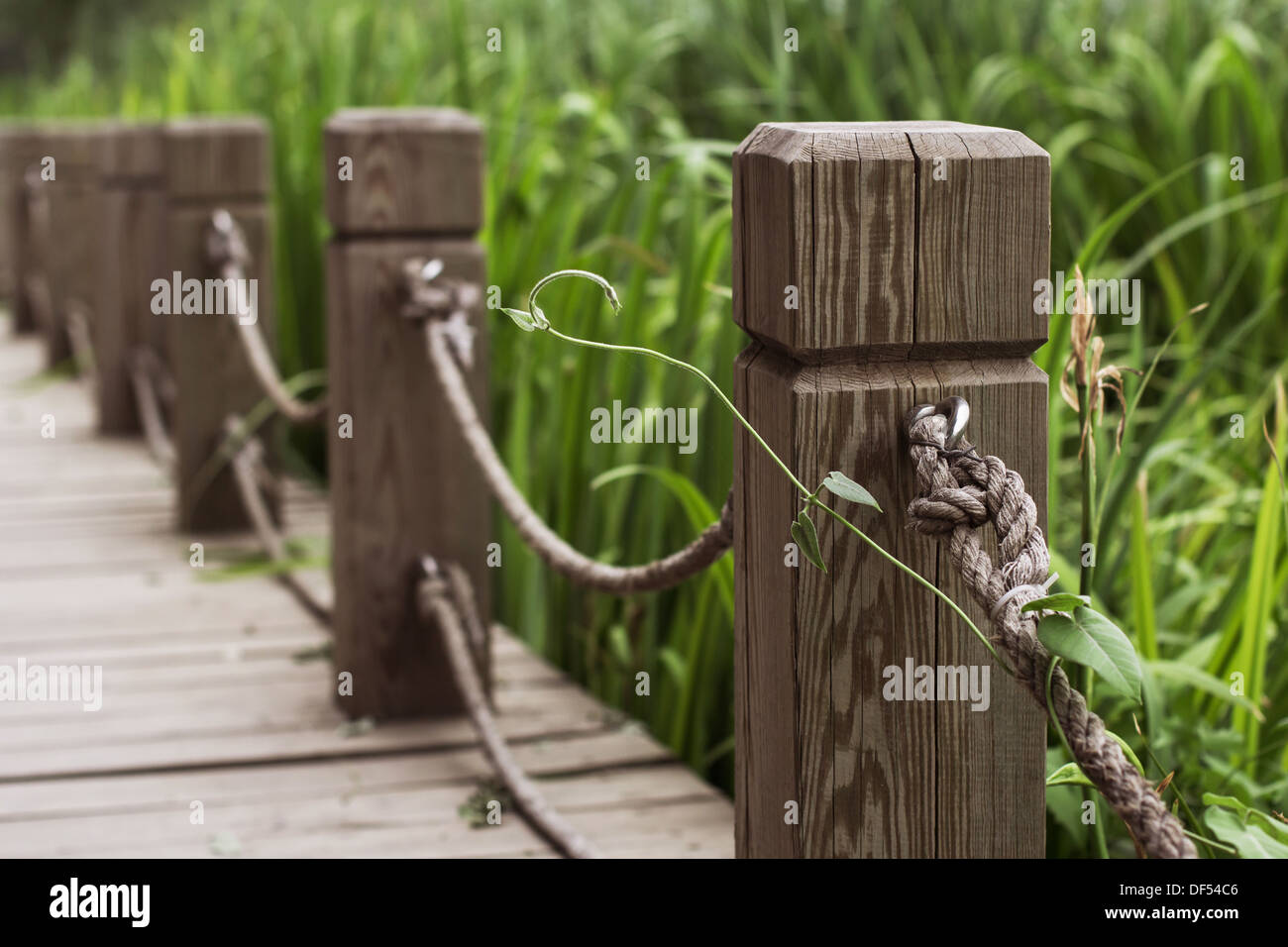 wooden path with railing Stock Photo - Alamy