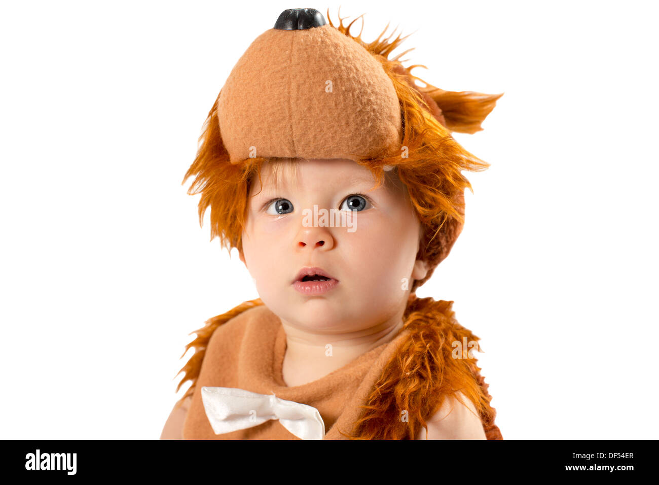 Adorable baby girl,dressed in furry teddy bear carnival suit, isolated ...