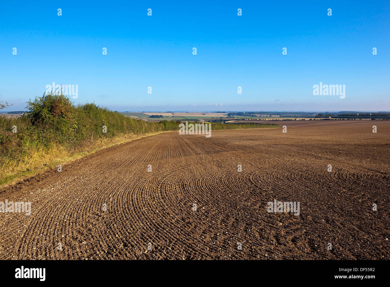 A hawthorn hedgerow in the scenic Yorkshire wolds england beside a ...