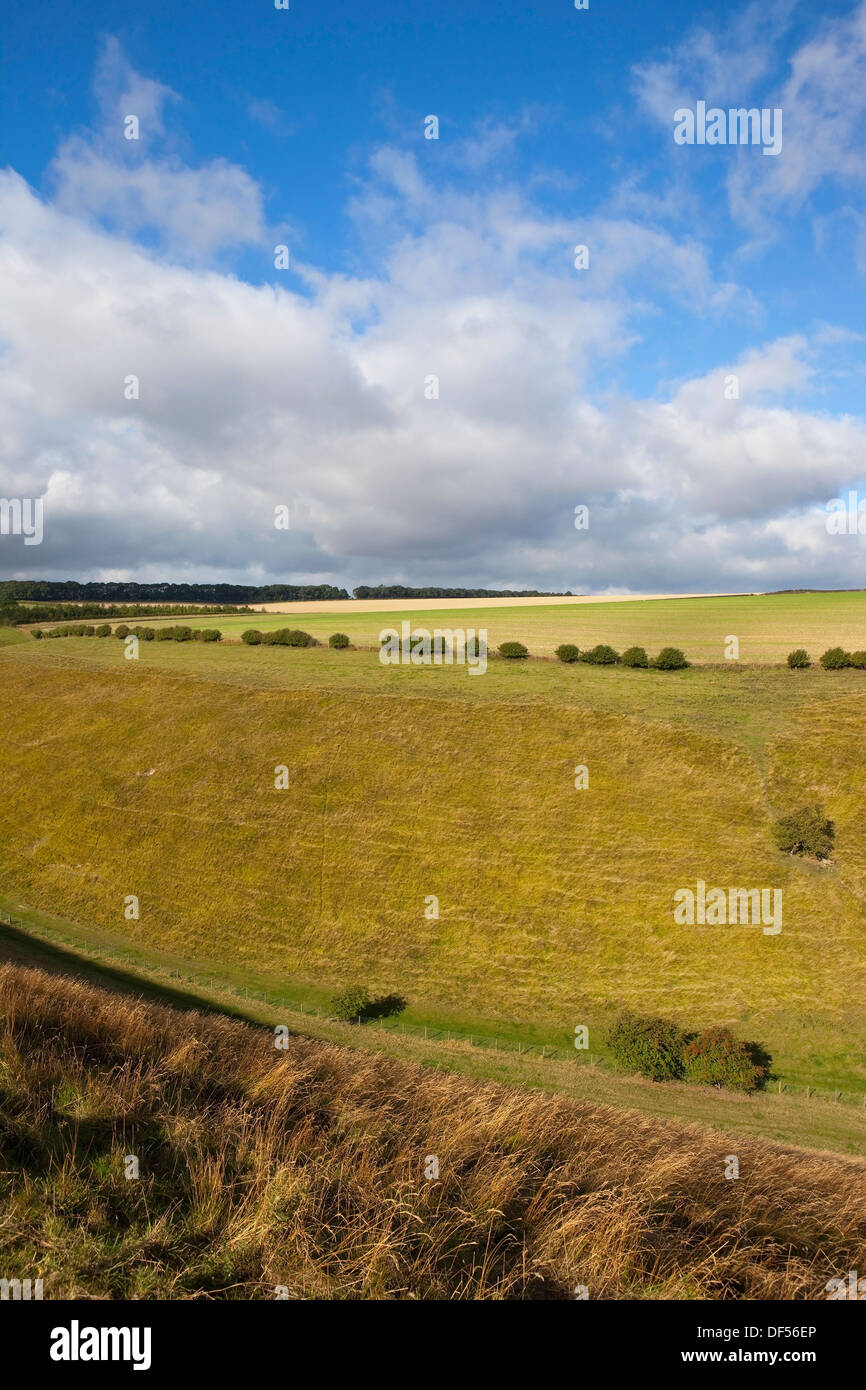 Summer pastures at Horsedale in the Yorkshire wolds england with grassy ...
