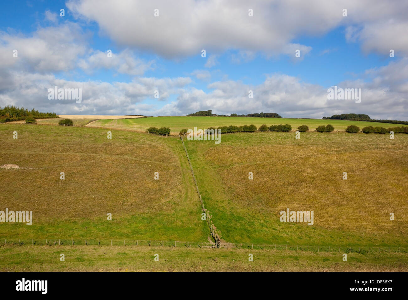 Fences and trees hi-res stock photography and images - Alamy