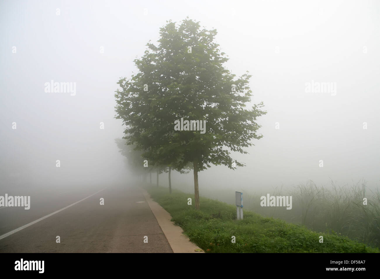 Fog field scenery hi-res stock photography and images - Alamy