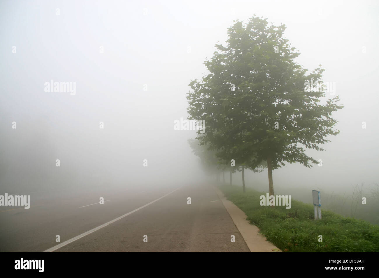 Fog field scenery hi-res stock photography and images - Alamy