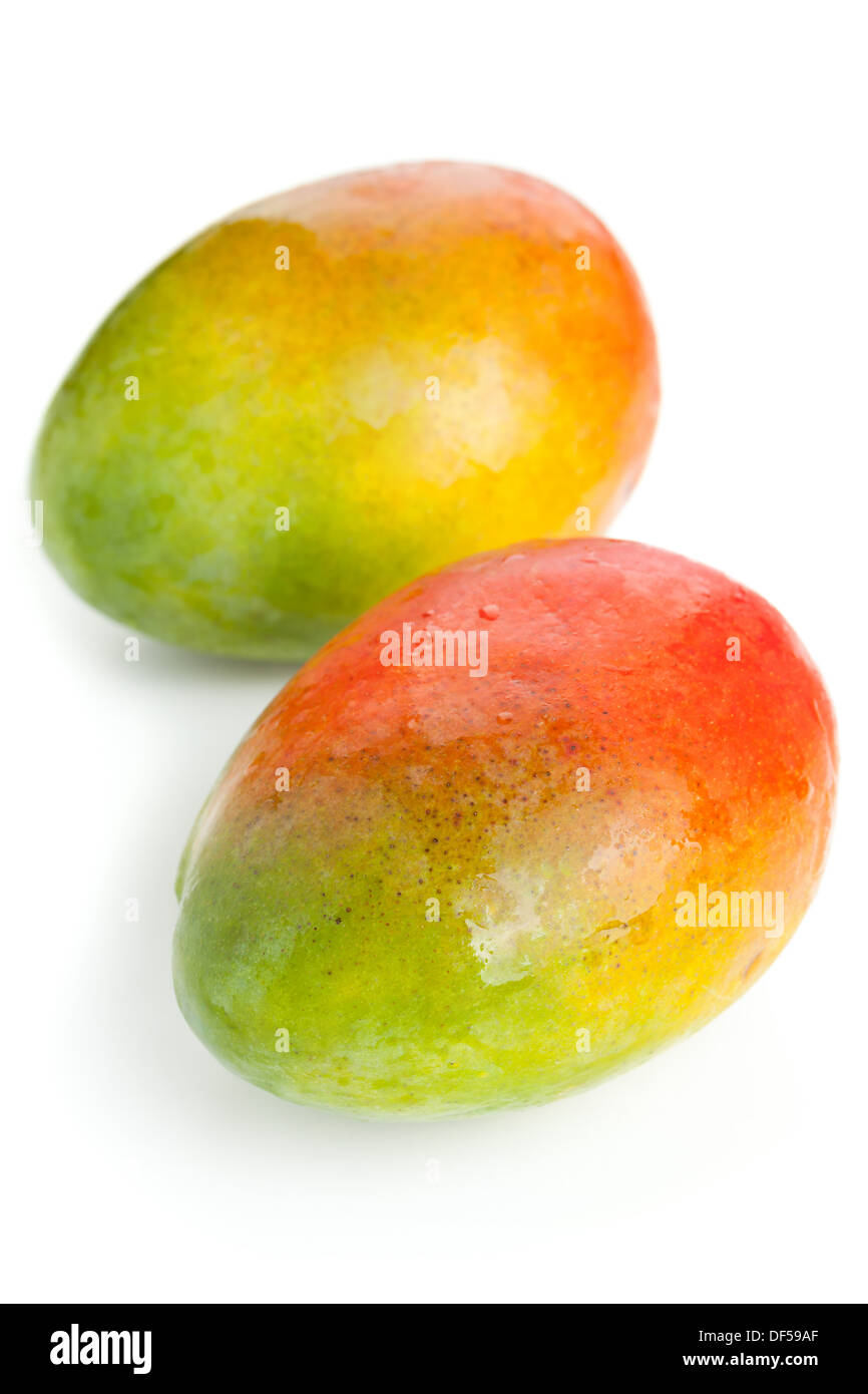 Two fresh, ripe organic mangoes over white background Stock Photo - Alamy