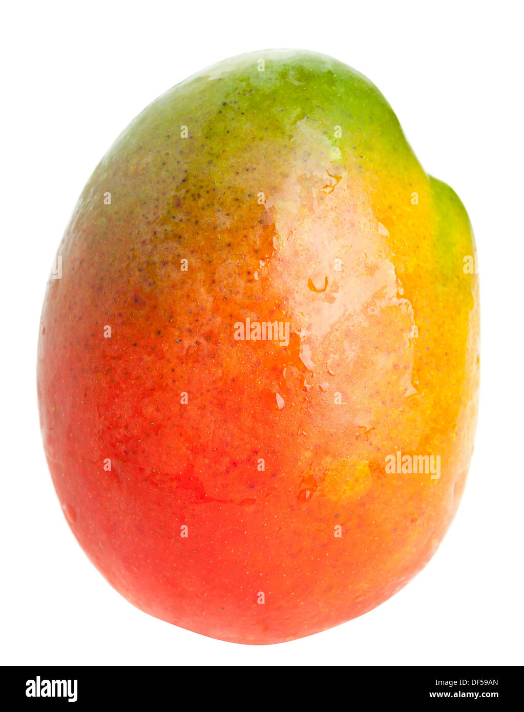 One single fresh ripe organic mango isolated on white background Stock ...