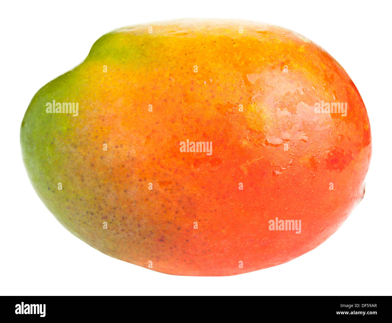 One single fresh ripe organic mango isolated on white background Stock ...