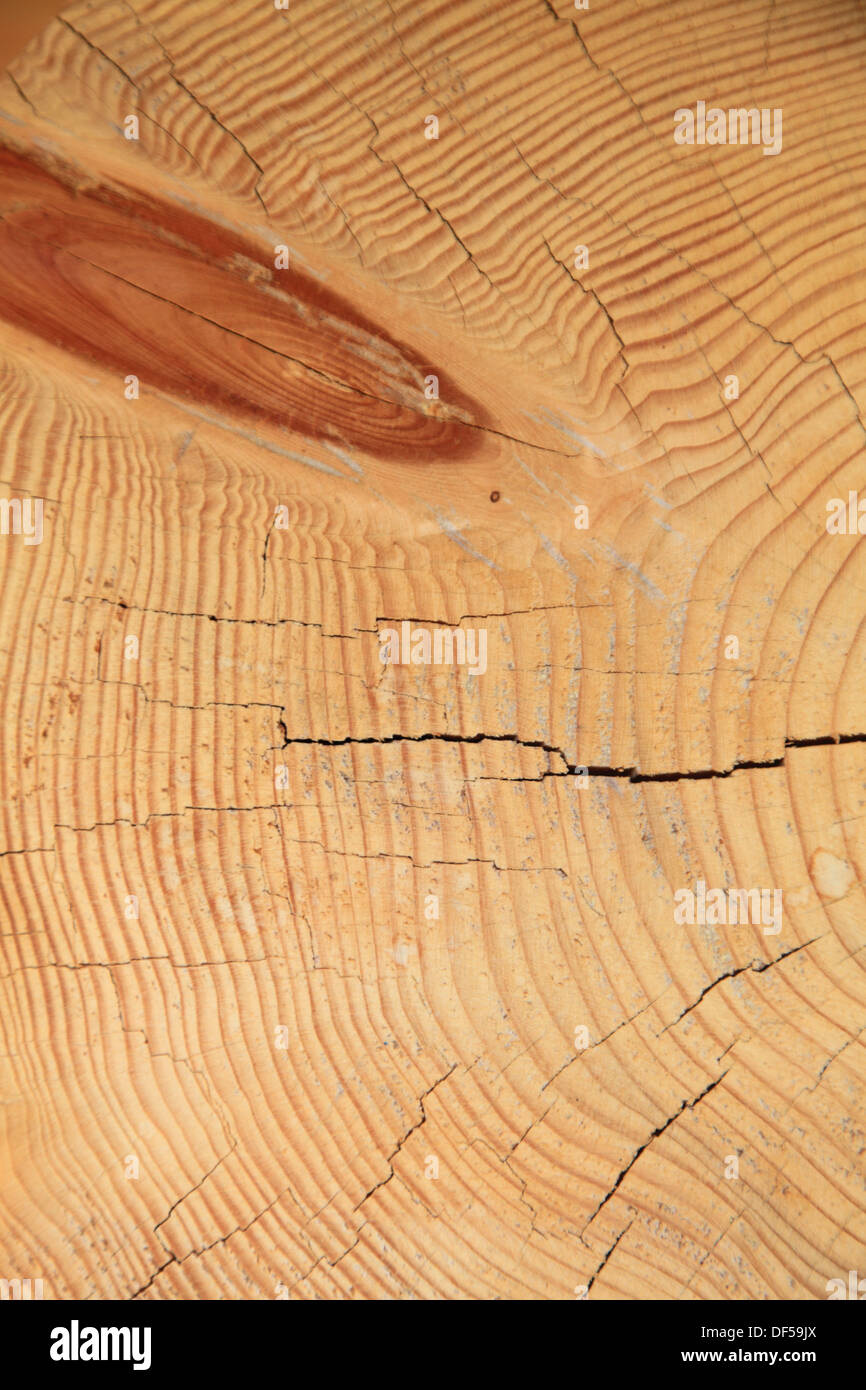 Wood texture wooden background with knot knotted Stock Photo - Alamy