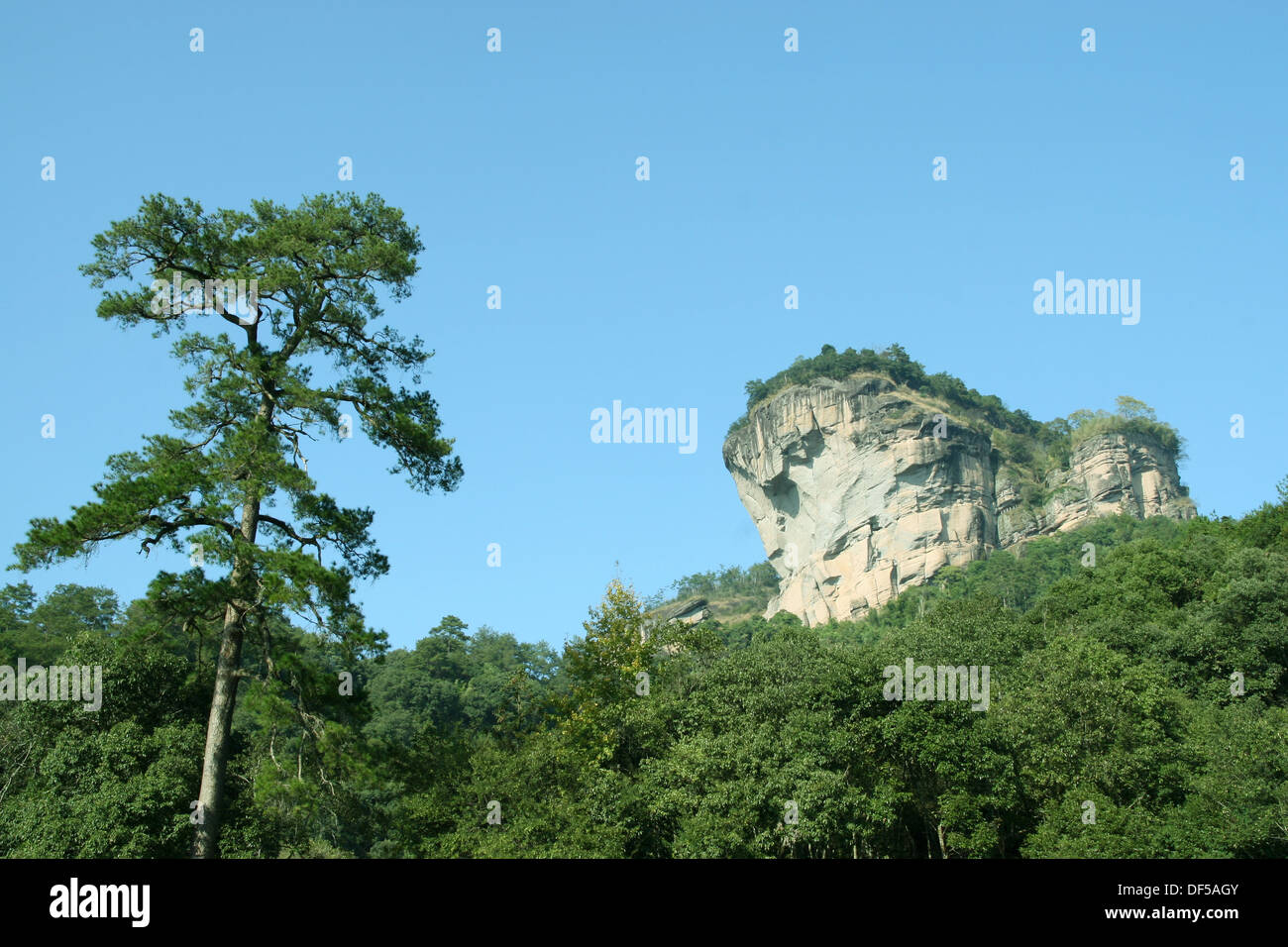 mountain natural landscape, Wuyi mountain, fujian province, China Stock ...
