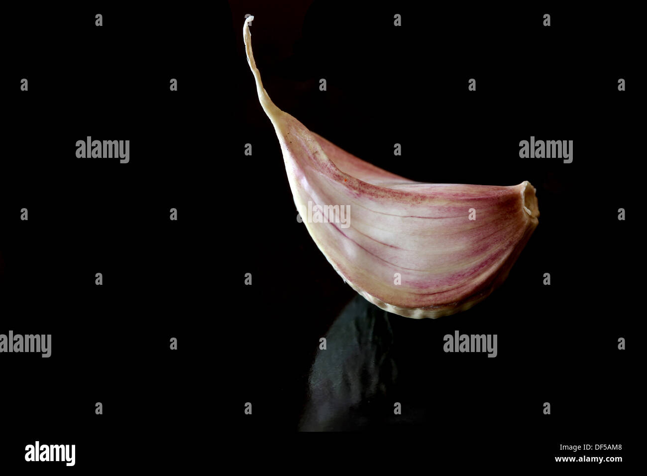 One clove of garlic hi-res stock photography and images - Alamy