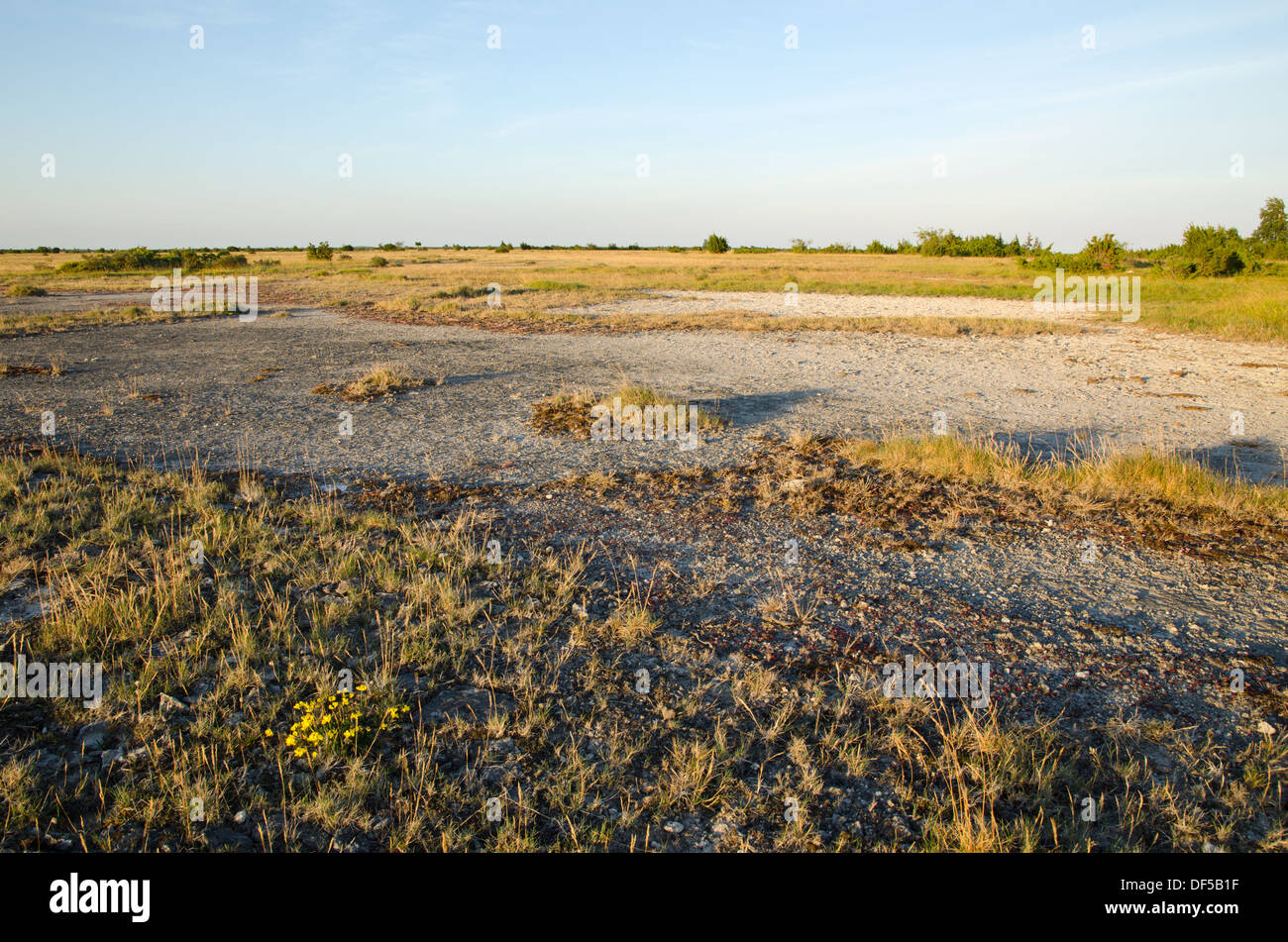 Great Alvar Plain an unique landscape in the island Oland, Sweden Stock ...