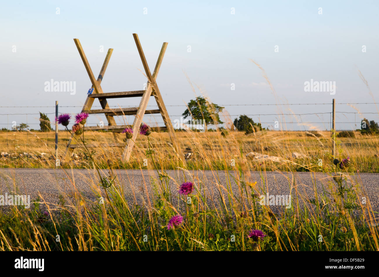 Ladder over fence hi-res stock photography and images - Alamy