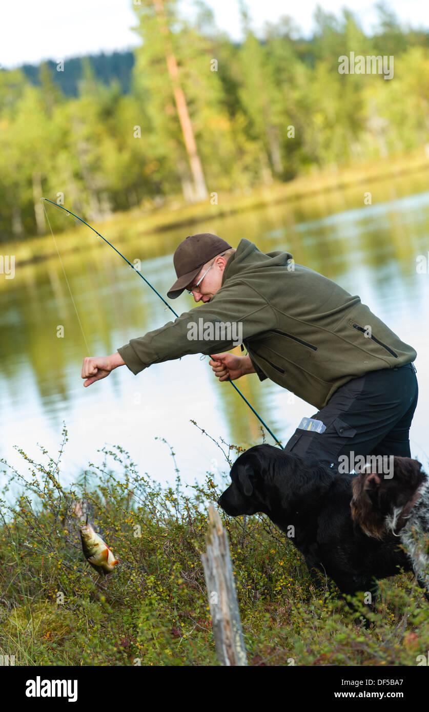 Fisherman get a perch with rod and reel, vertical image Stock Photo - Alamy