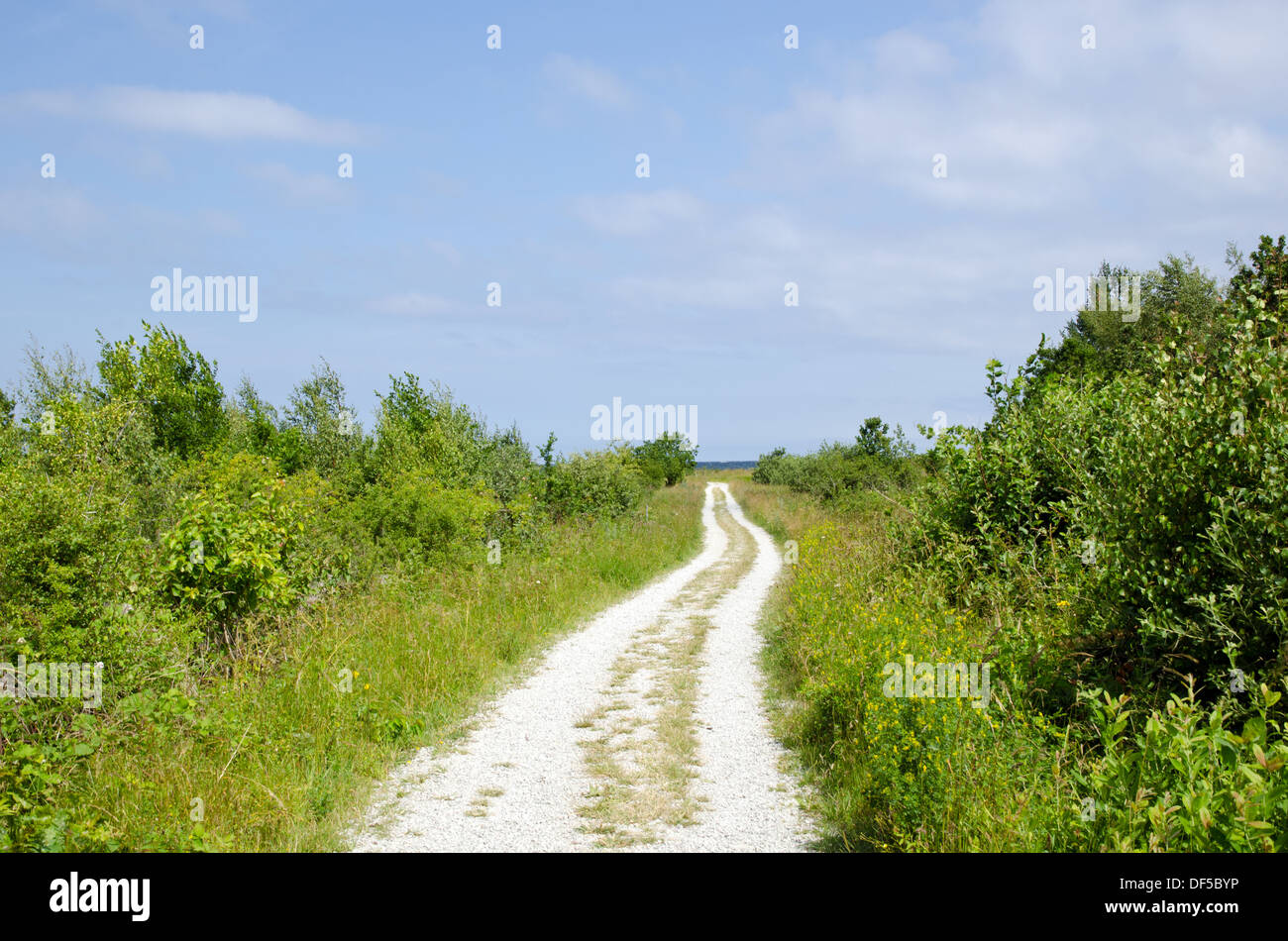 Green plant trough hi-res stock photography and images - Alamy