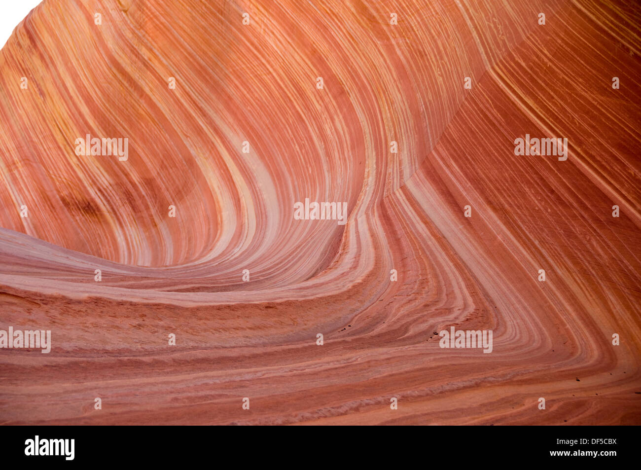 the wave ,arizona Stock Photo - Alamy