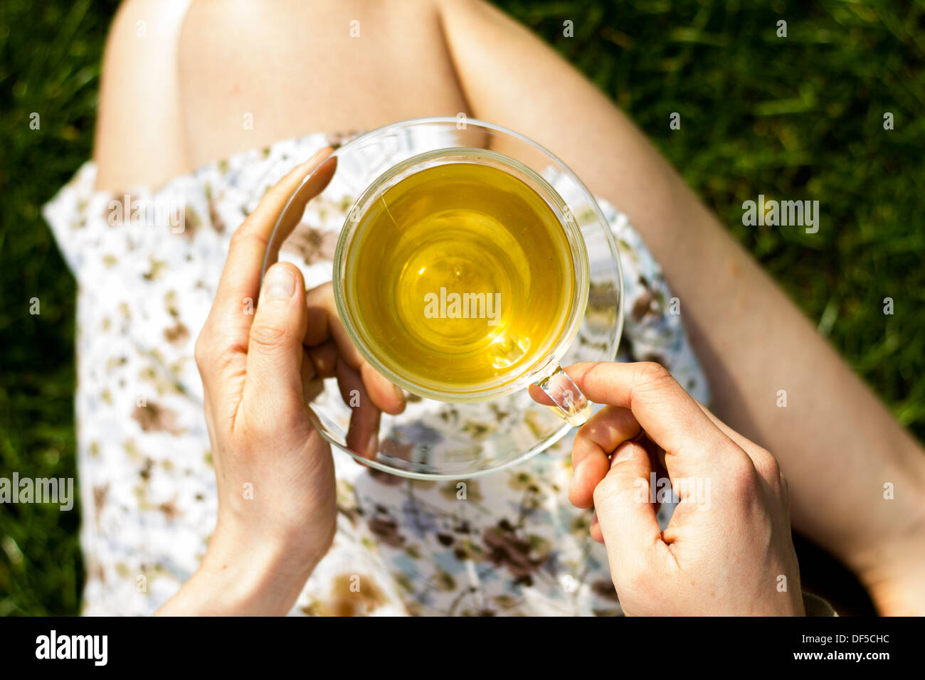 Tea grass hi-res stock photography and images - Alamy