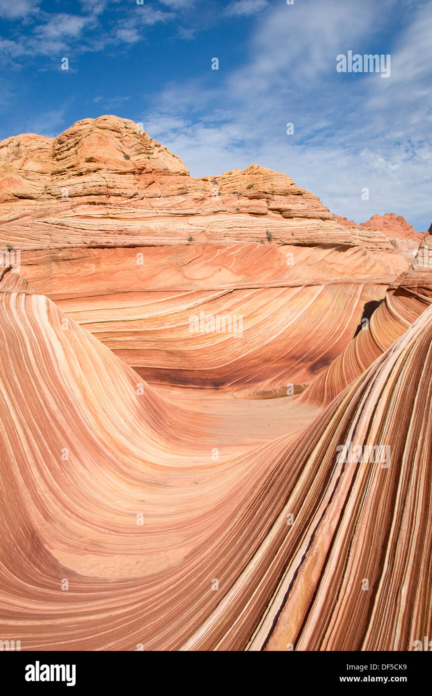 Wave rock formation on utah arizona hi-res stock photography and images ...