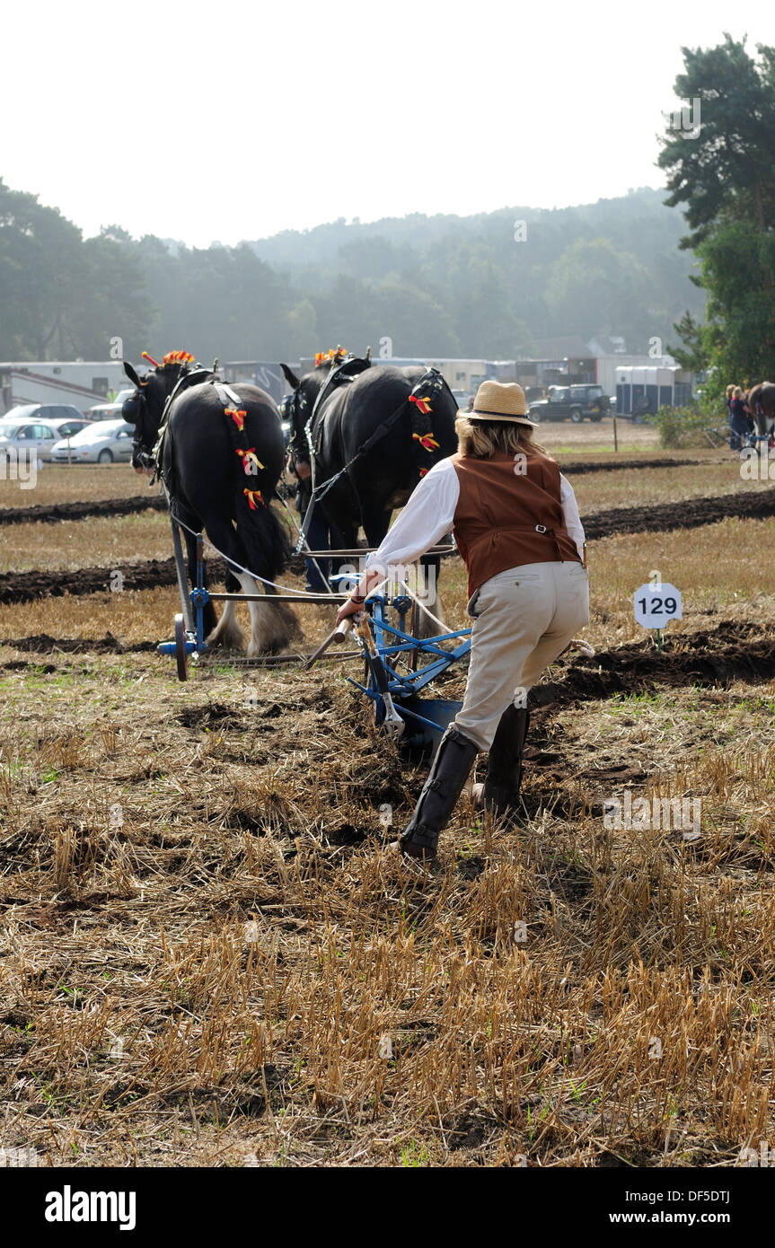Ravenshead, Notts, UK.28th September 2013.The annaul Agricultural one ...